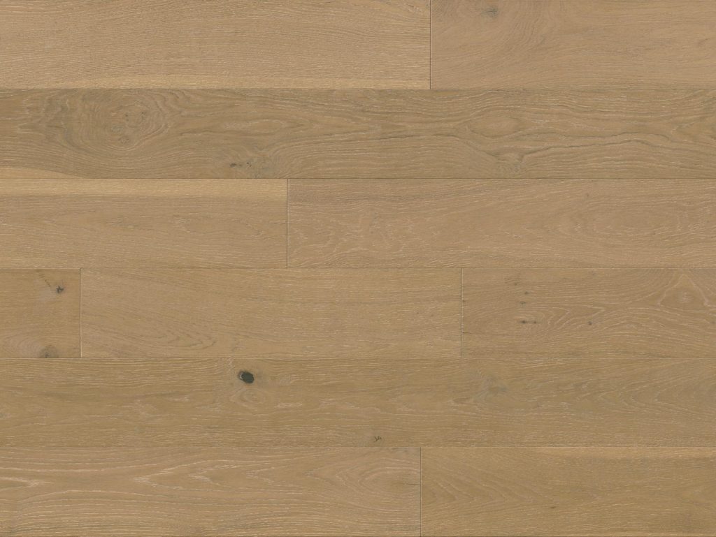 Caday – Studio Haus